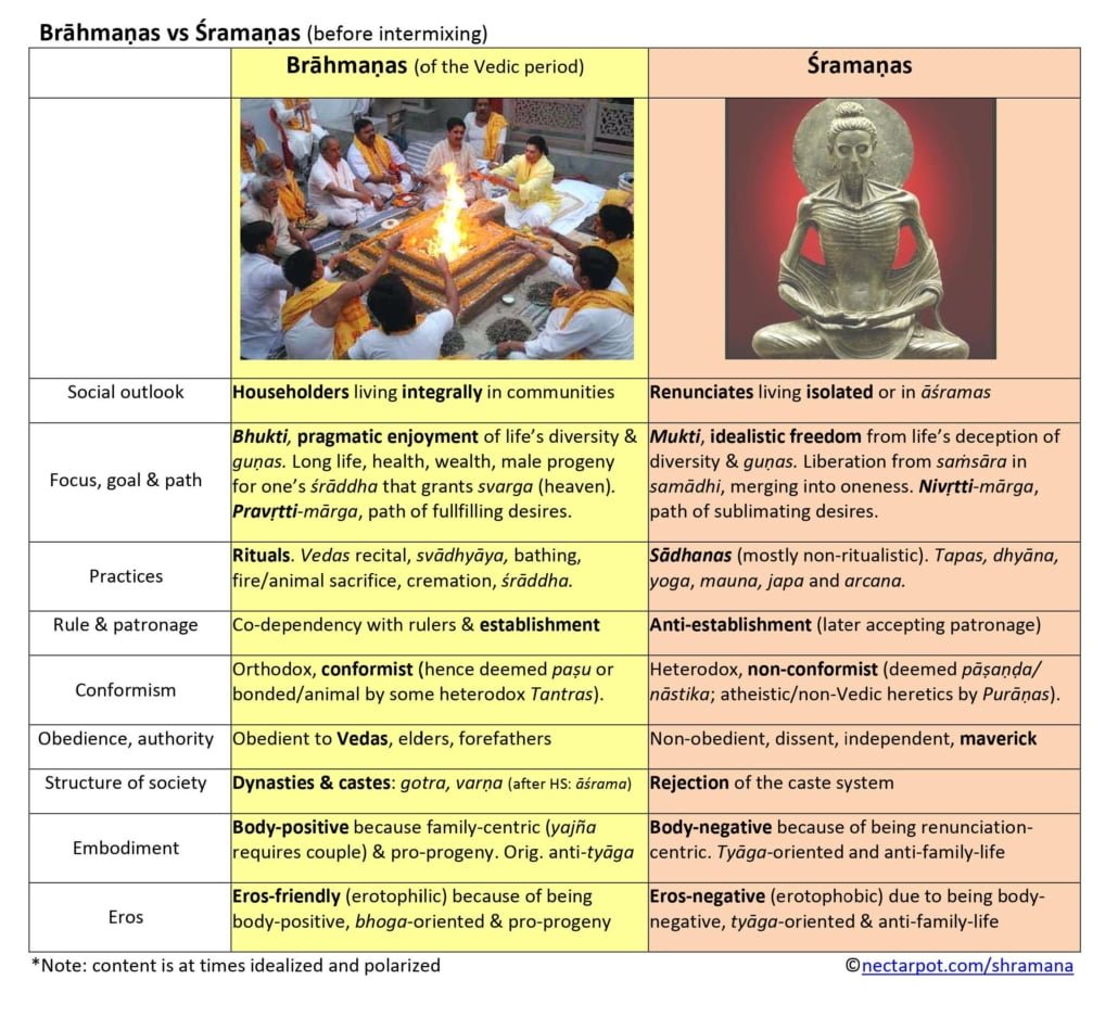 The Hindu Synthesis and our Freedom to Reform – Nectar Pot
